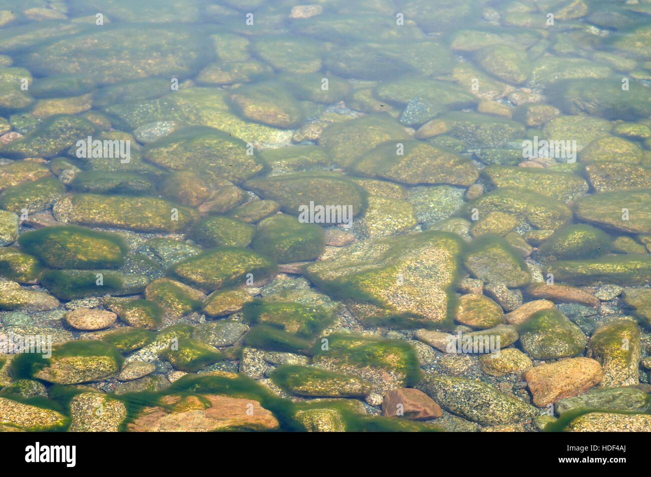 Stones under water Stock Photo - Alamy