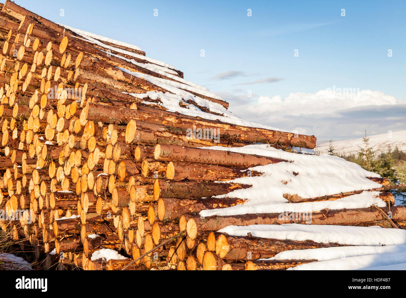 Stack logs on snow hi-res stock photography and images - Alamy