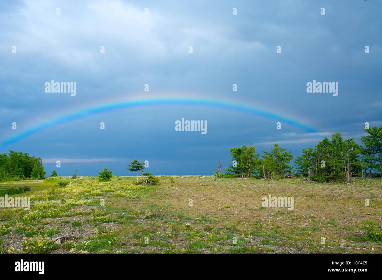 wide rainbow over the forest after the rain Stock Photo - Alamy