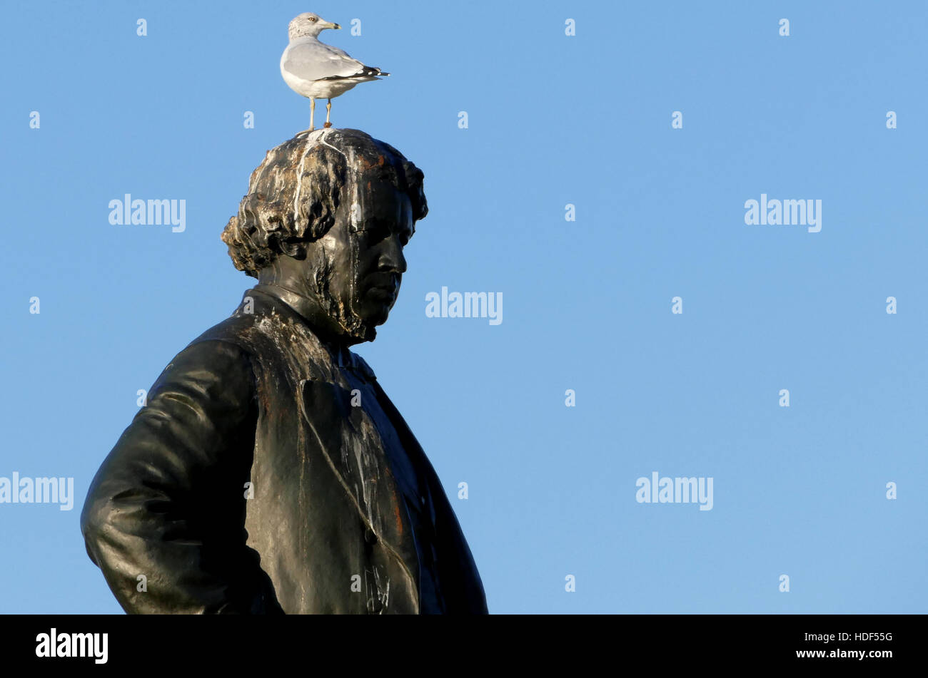 Thomas darcy mcgee statue hi-res stock photography and images - Alamy