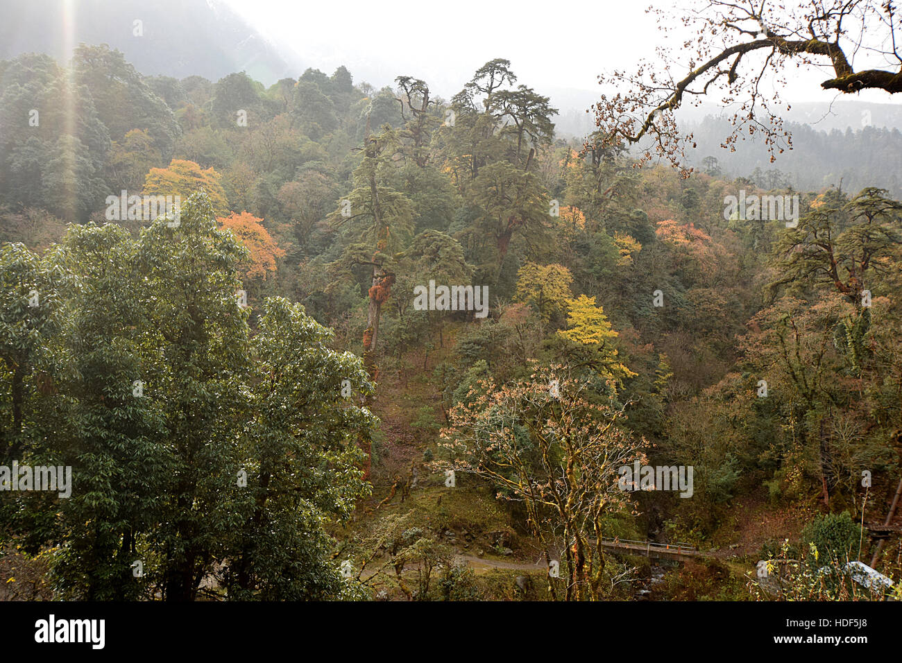 Nepal, Asia, Himalaya Stock Photo - Alamy