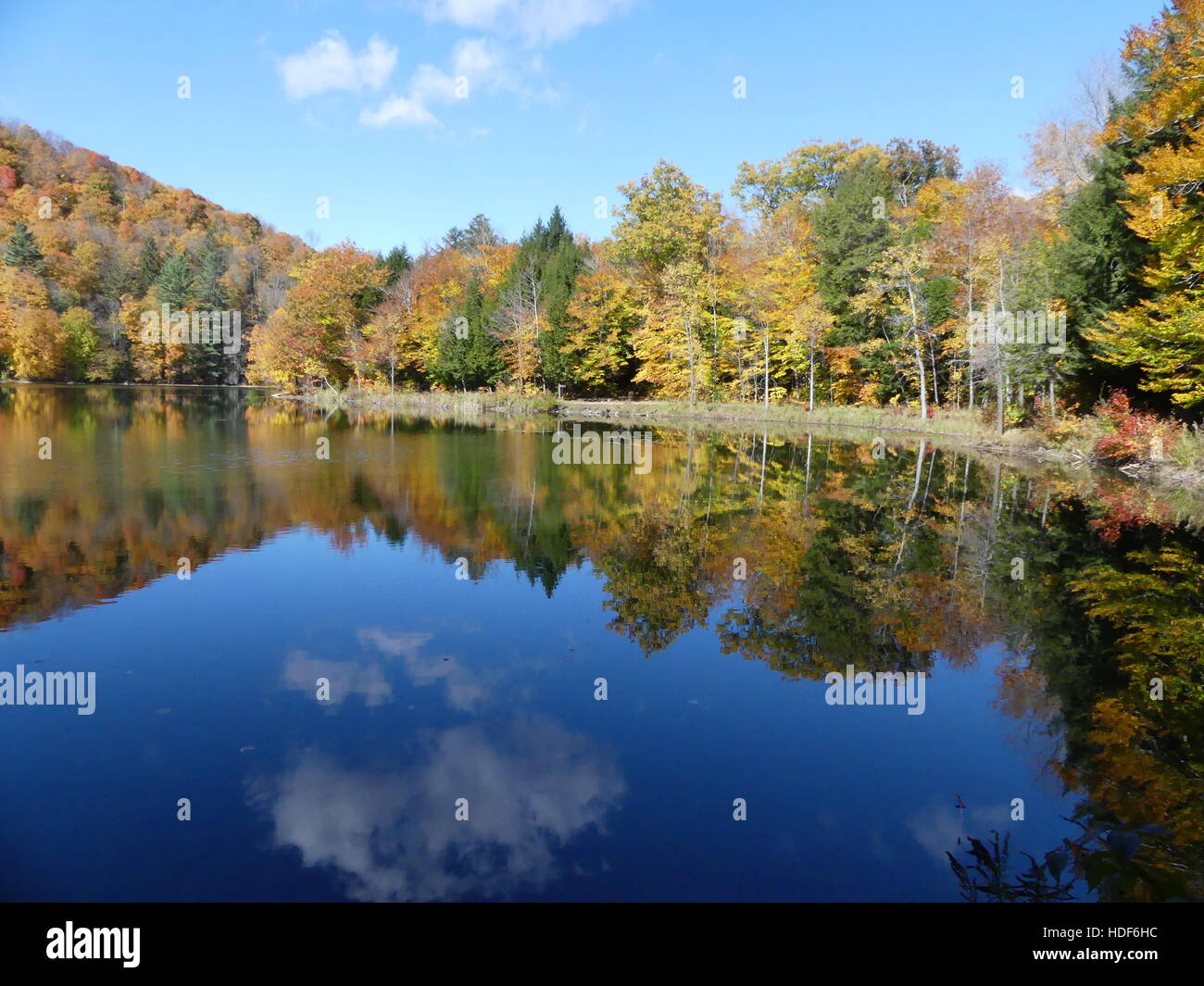 Pogue hi-res stock photography and images - Alamy