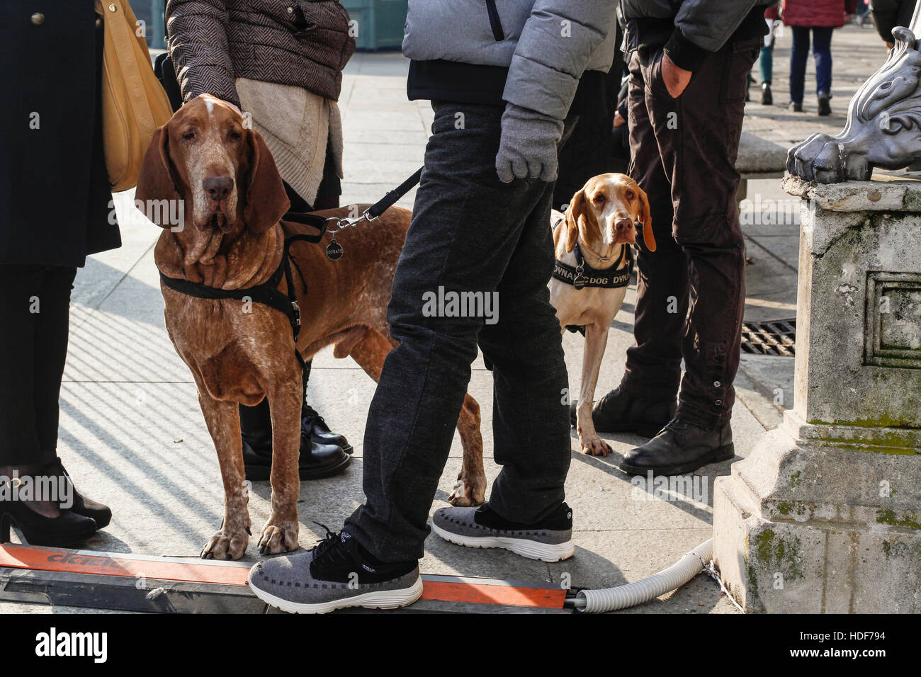 Two persone hi-res stock photography and images - Alamy