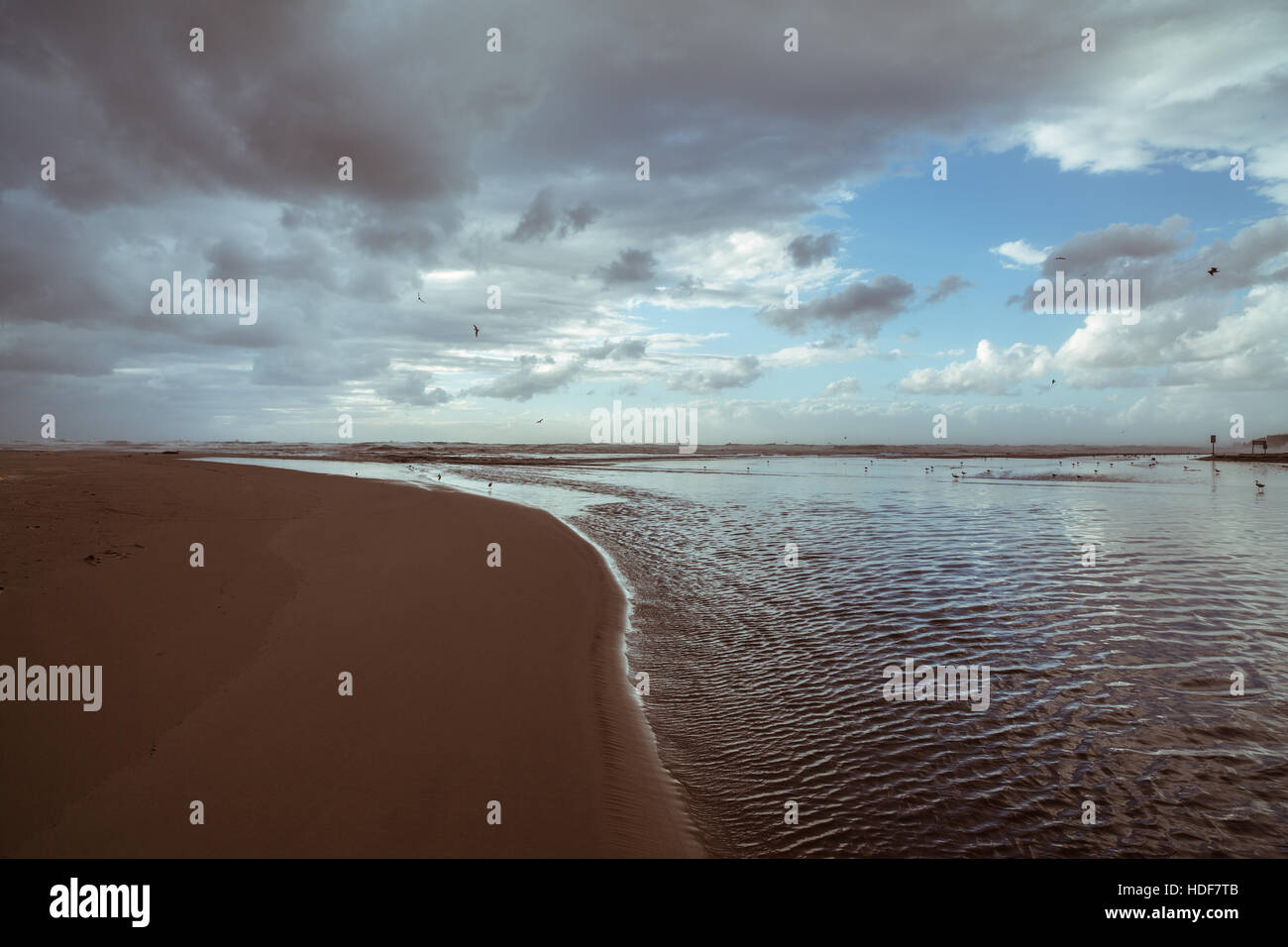 the landscape sea waves close-up on sand Stock Photo - Alamy