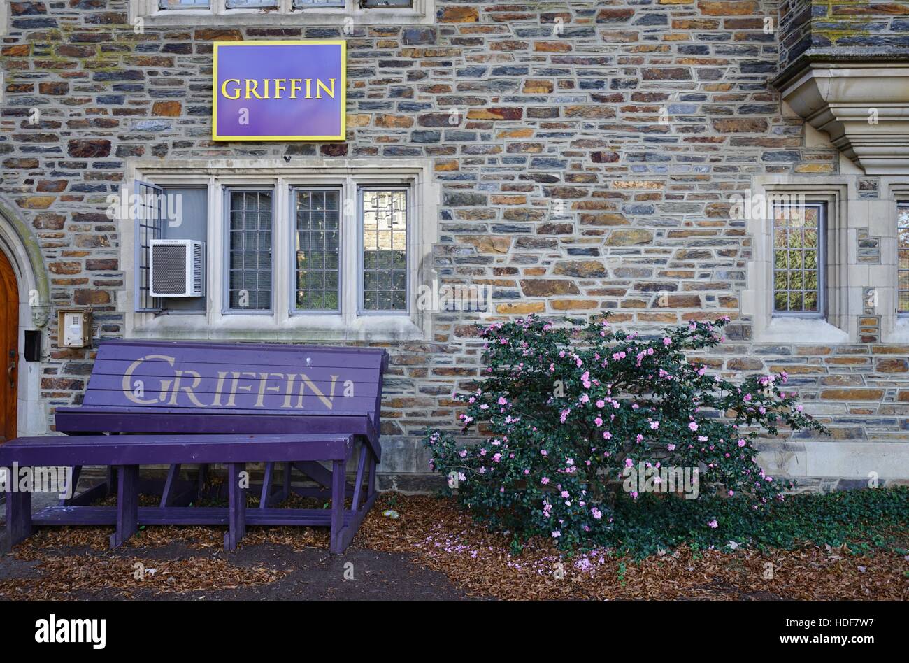View of the Duke University campus Stock Photo - Alamy