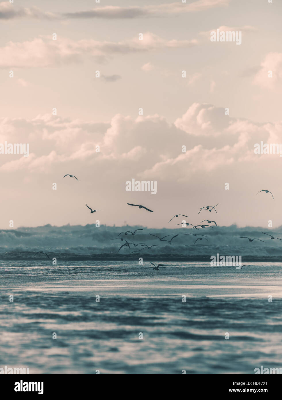 the landscape sea waves on sunset background Stock Photo - Alamy