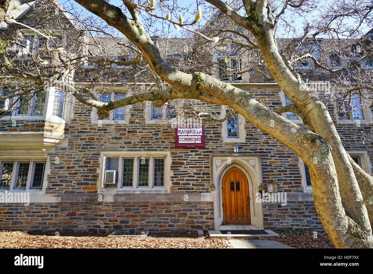 View of the Duke University campus Stock Photo - Alamy