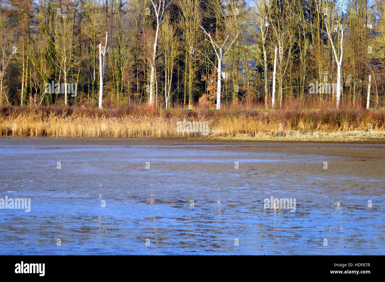 Autumn colors with trees overlooking a lake Stock Photo - Alamy