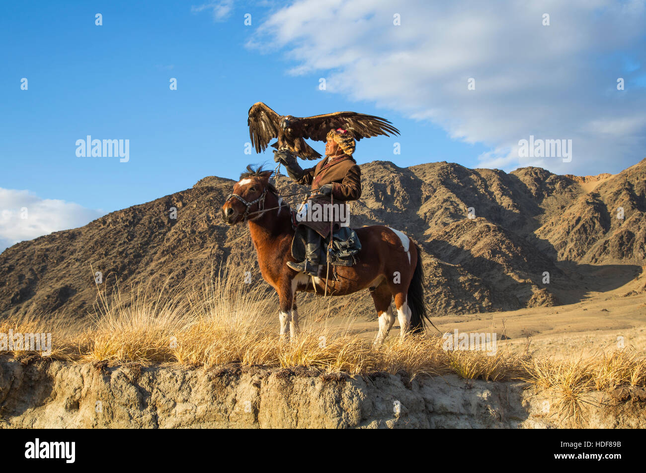 Old eagle hi-res stock photography and images - Alamy