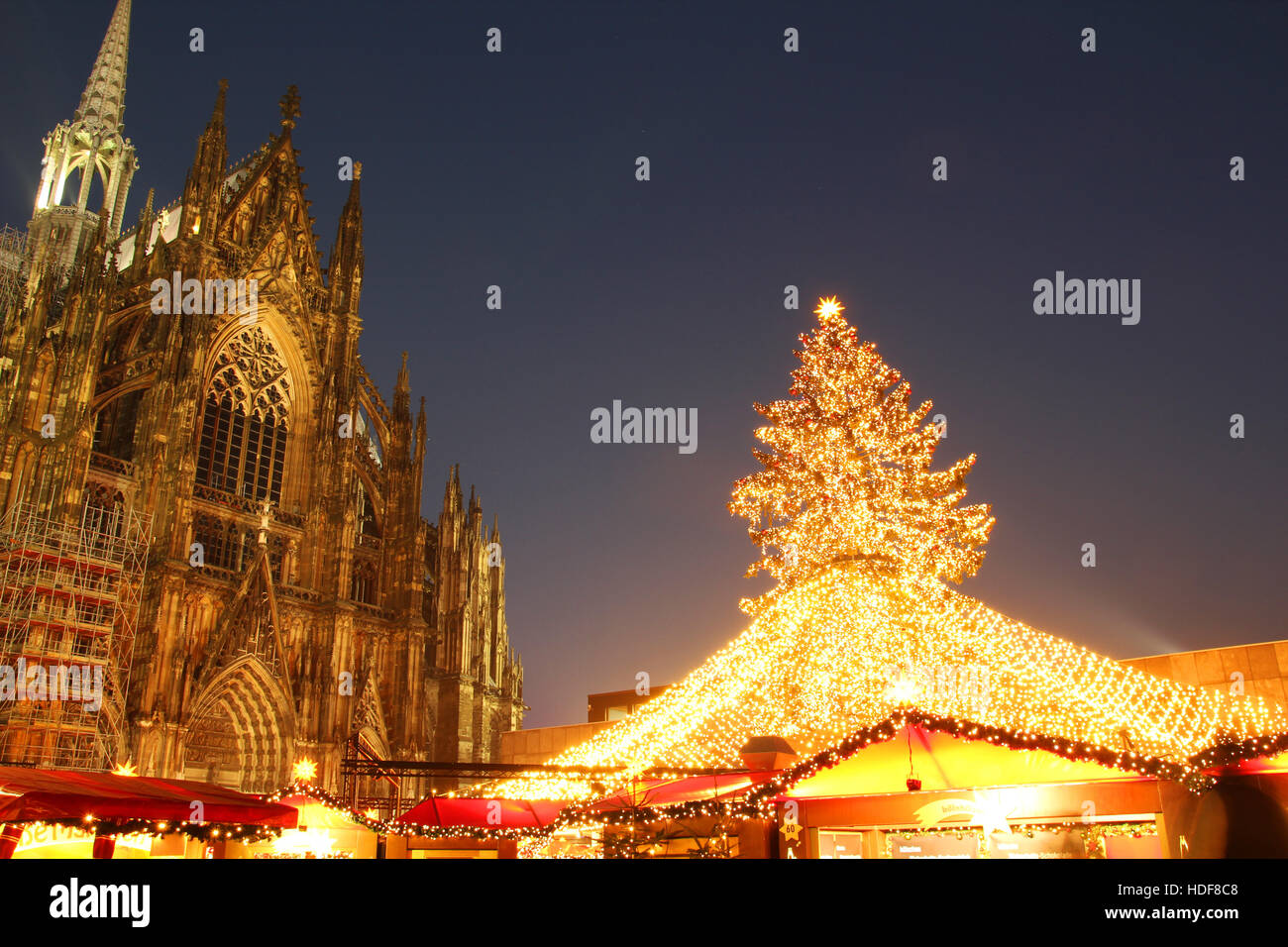Cologne Christmas Market Tree and Catherdal Stock Photo - Alamy