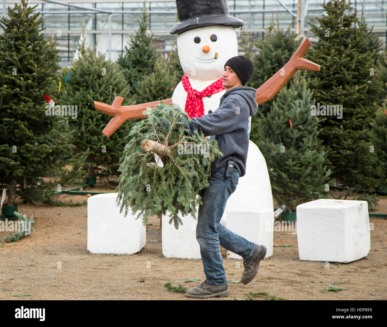 Carry car hi-res stock photography and images - Alamy