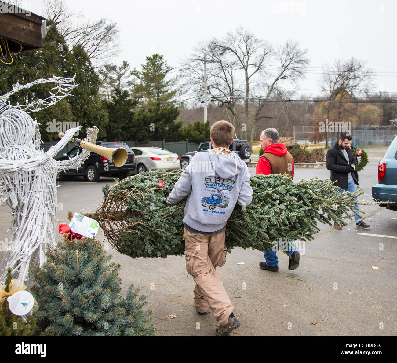 Carry tree hi-res stock photography and images - Alamy