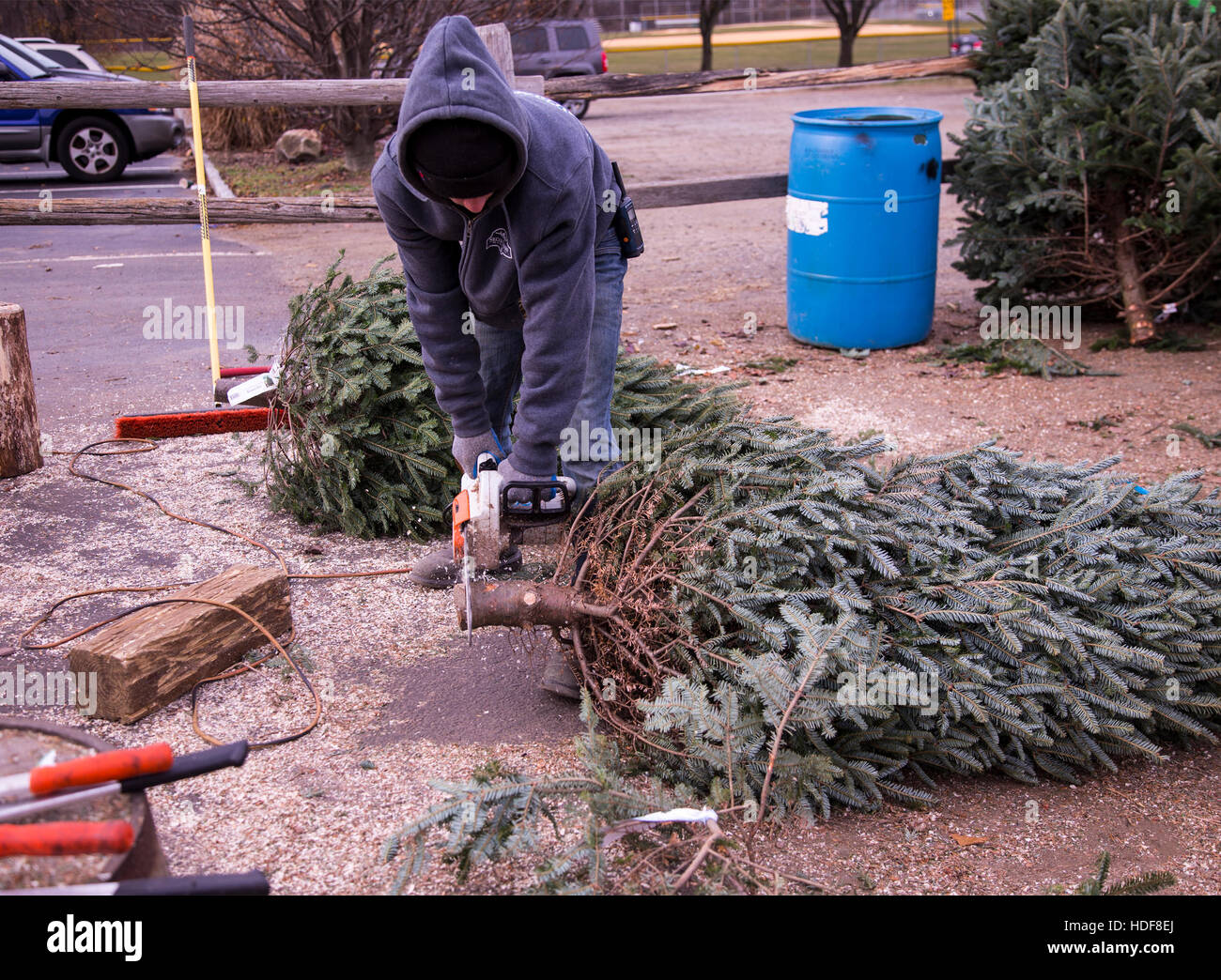 Cutting tree trunk hi-res stock photography and images - Alamy