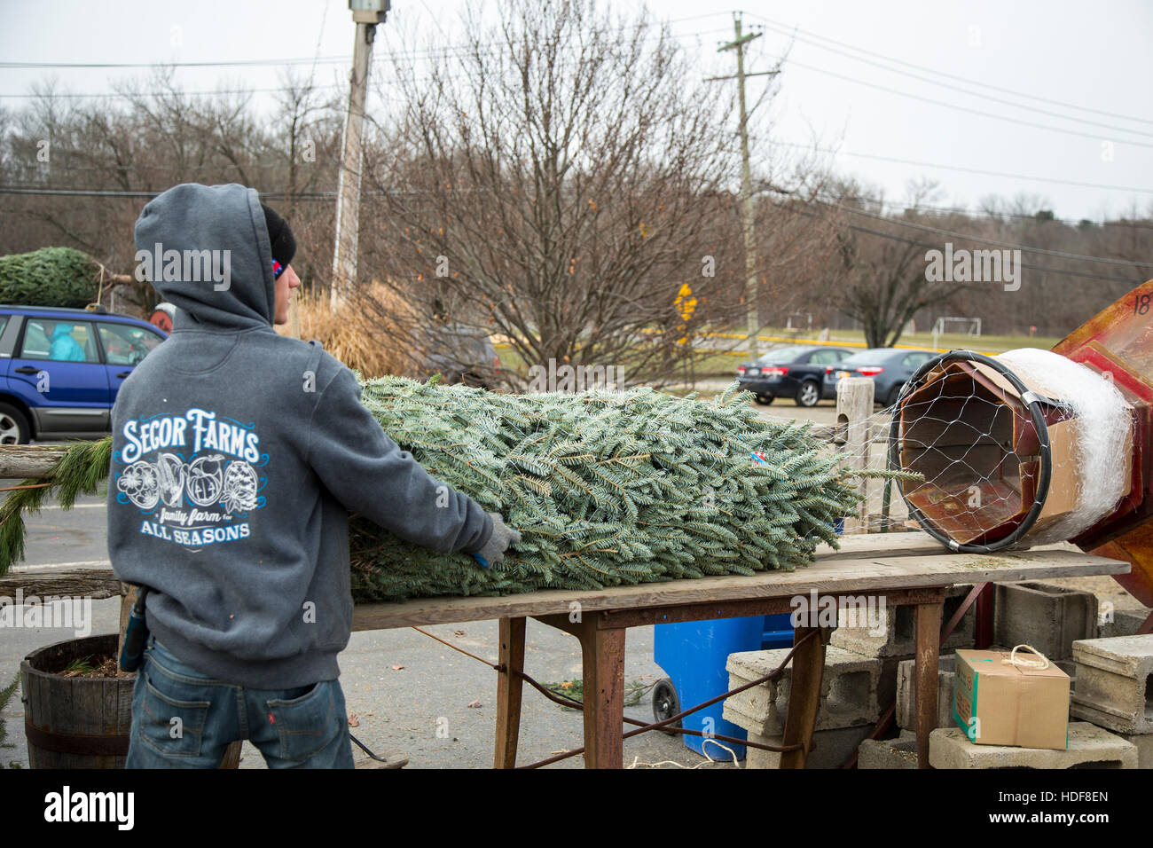 Christmas tree net hi-res stock photography and images - Alamy