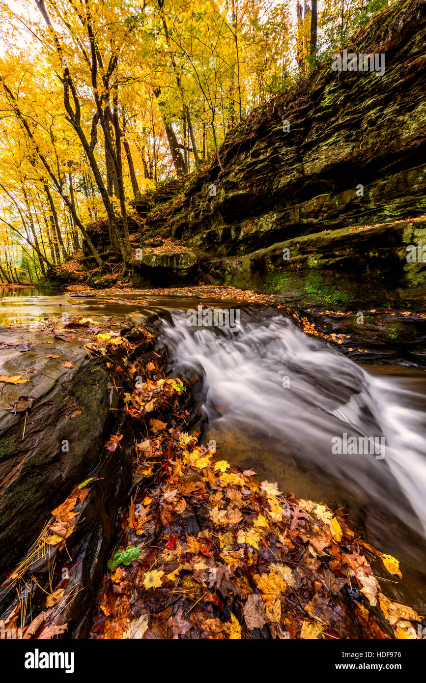 Skillet Creek in central Wisconsin cascade as it enters Pewits Nest in ...
