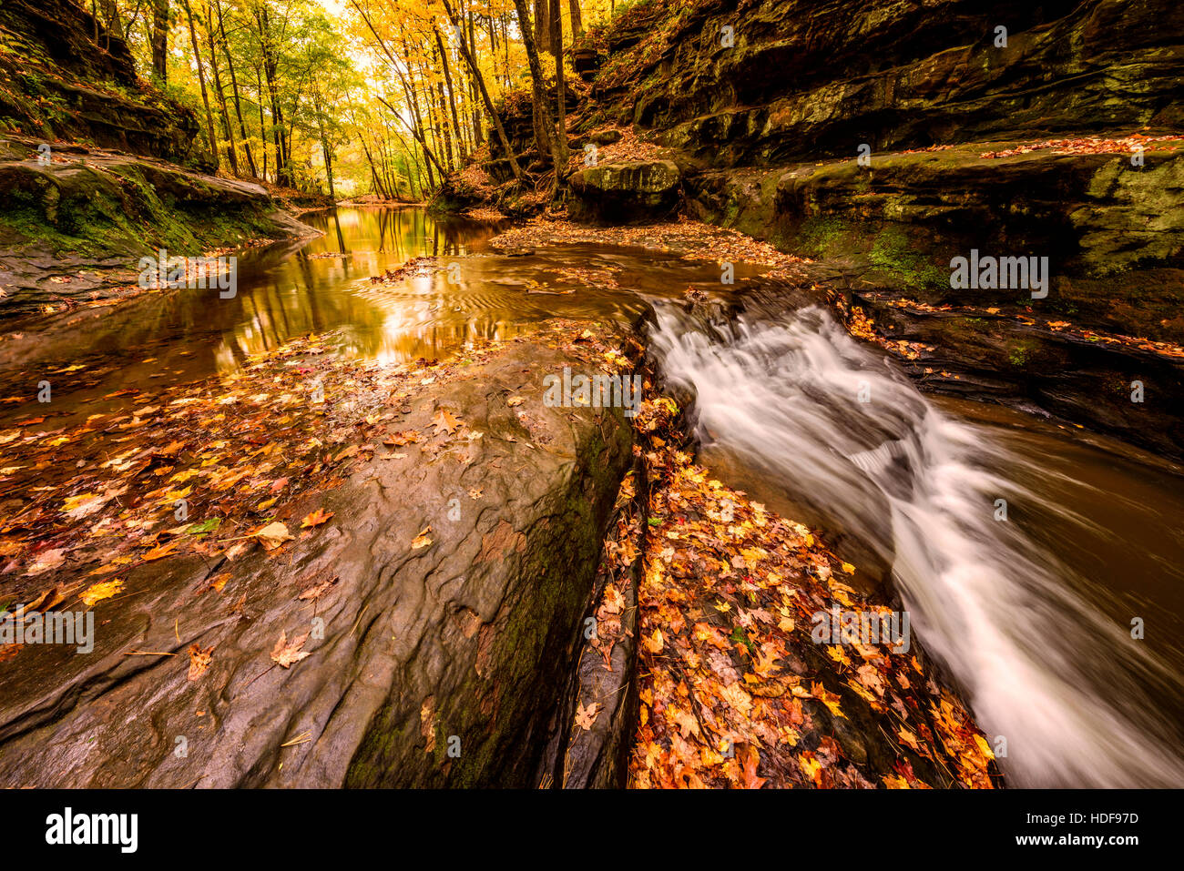 Yellow creek state park hi-res stock photography and images - Alamy