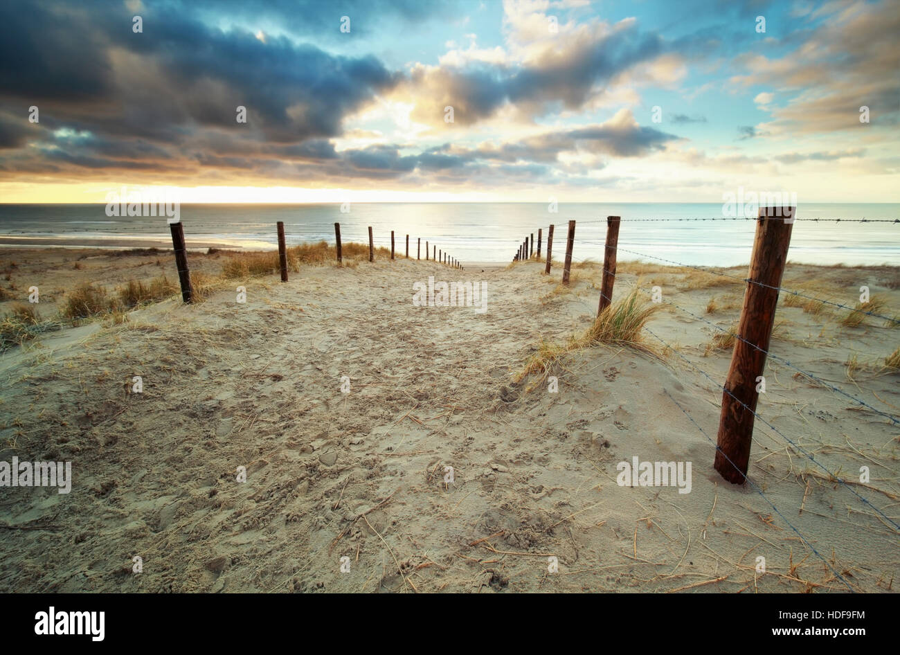 sand path to North sea beach at sunset, Holland Stock Photo - Alamy