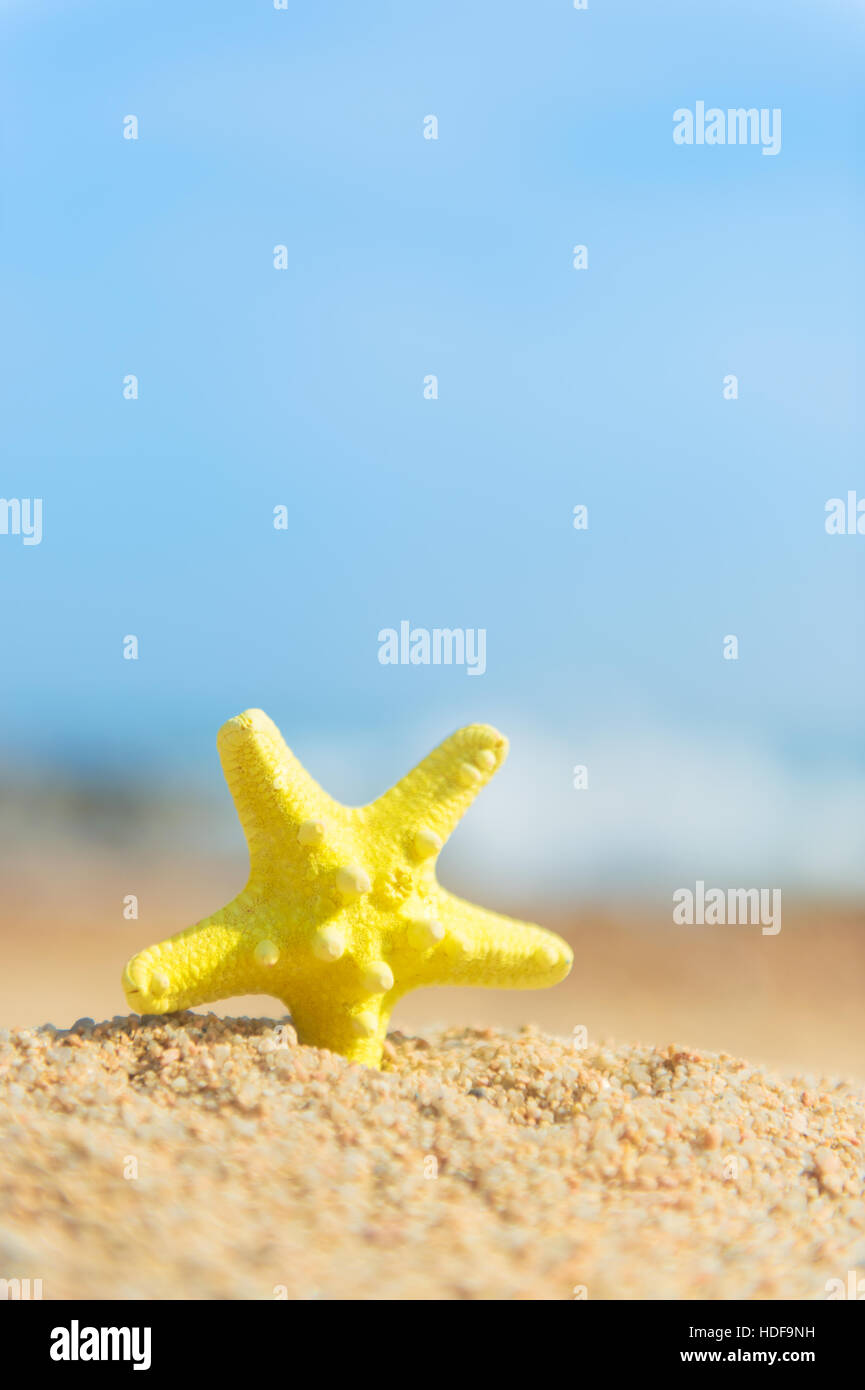Yellow starfish standing at the beach Stock Photo - Alamy