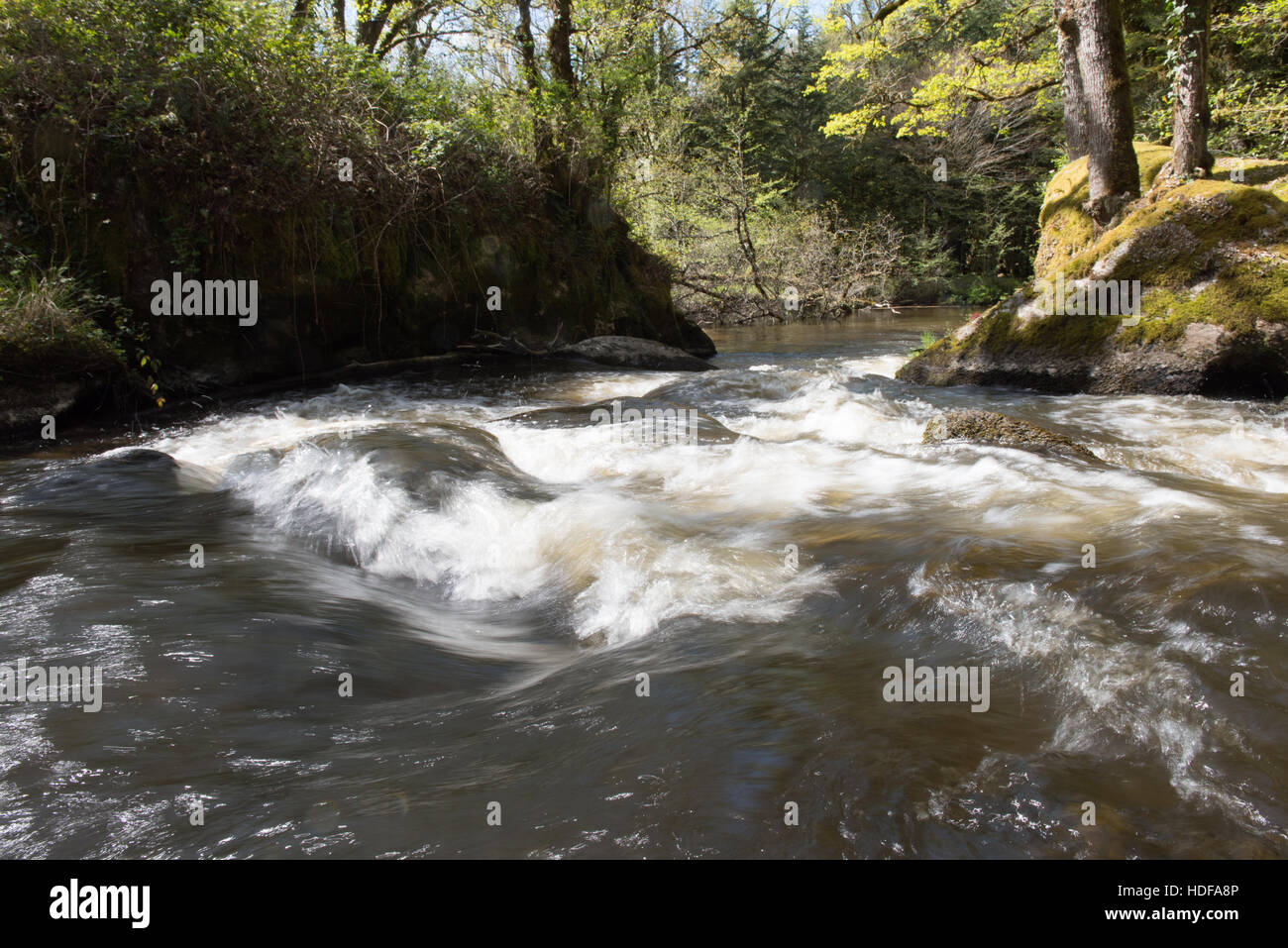 River the Dronne in France Stock Photo - Alamy