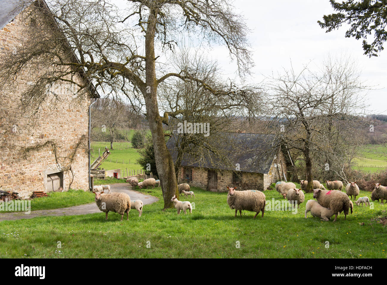 Cage rouge hi-res stock photography and images - Alamy