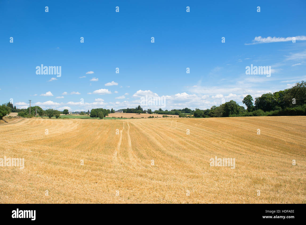 Agriculture landscape with field and houses at the horizon Stock Photo ...