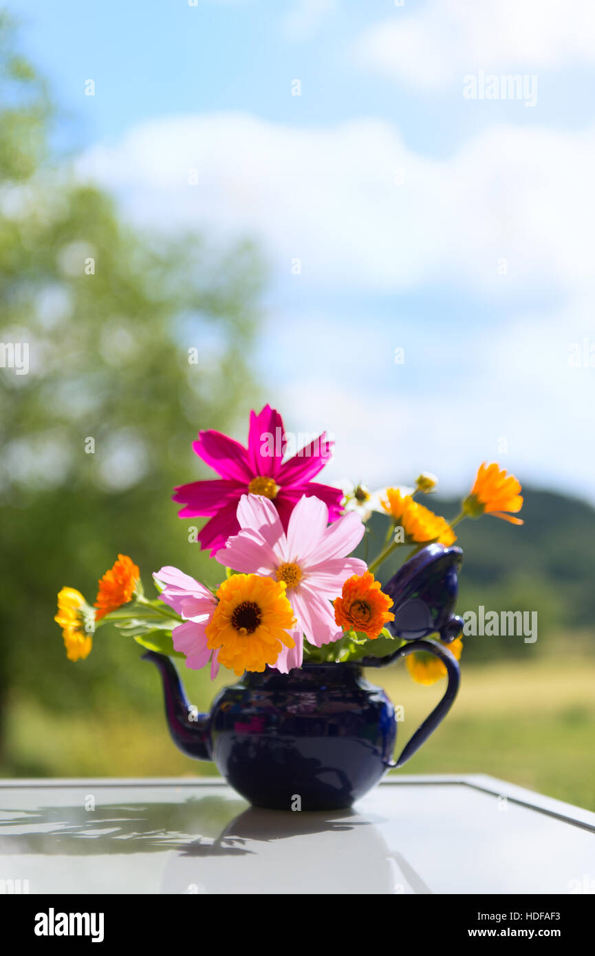 Lue flowers hi-res stock photography and images - Alamy