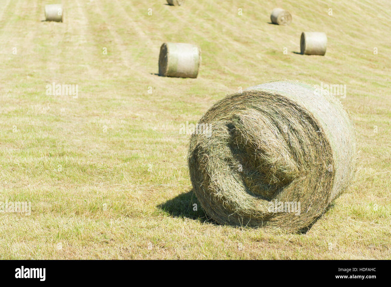 Hay roll on a hill in France Stock Photo - Alamy
