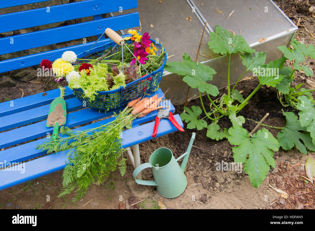 Blue harvest basket full with vegetals and flowers from the vegetal ...