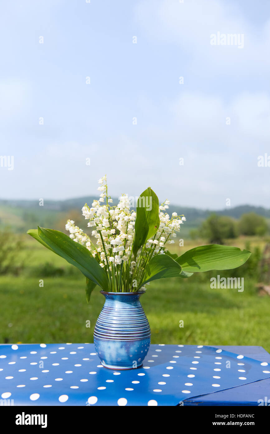 Lily of the valley in blue vase in France Stock Photo - Alamy