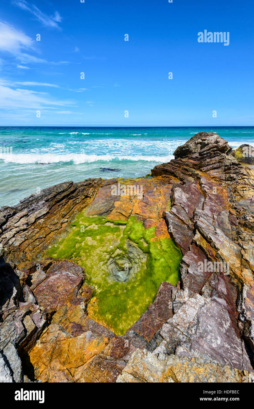 Abrasion potholes in the Palaeozoic sedimentary rocks at Quarry Beach ...
