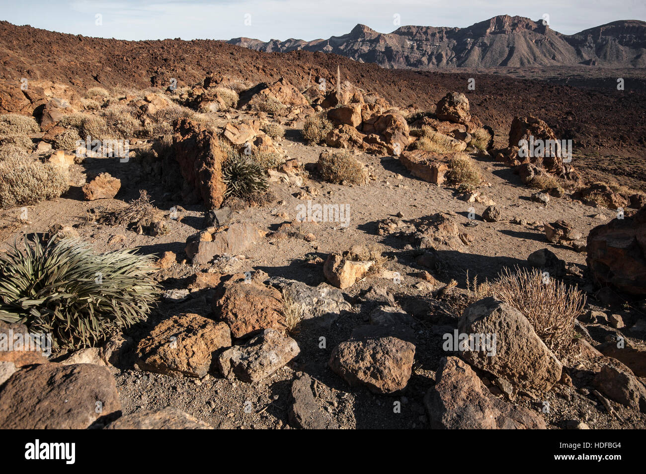 Rough eroded landscape of Teide volcano Stock Photo - Alamy