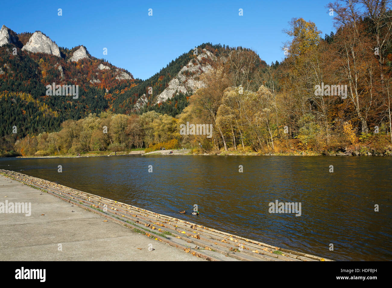 Dunajec River Gorge in Sromowce Nizne, Pieniny Mountains, Poland Stock ...