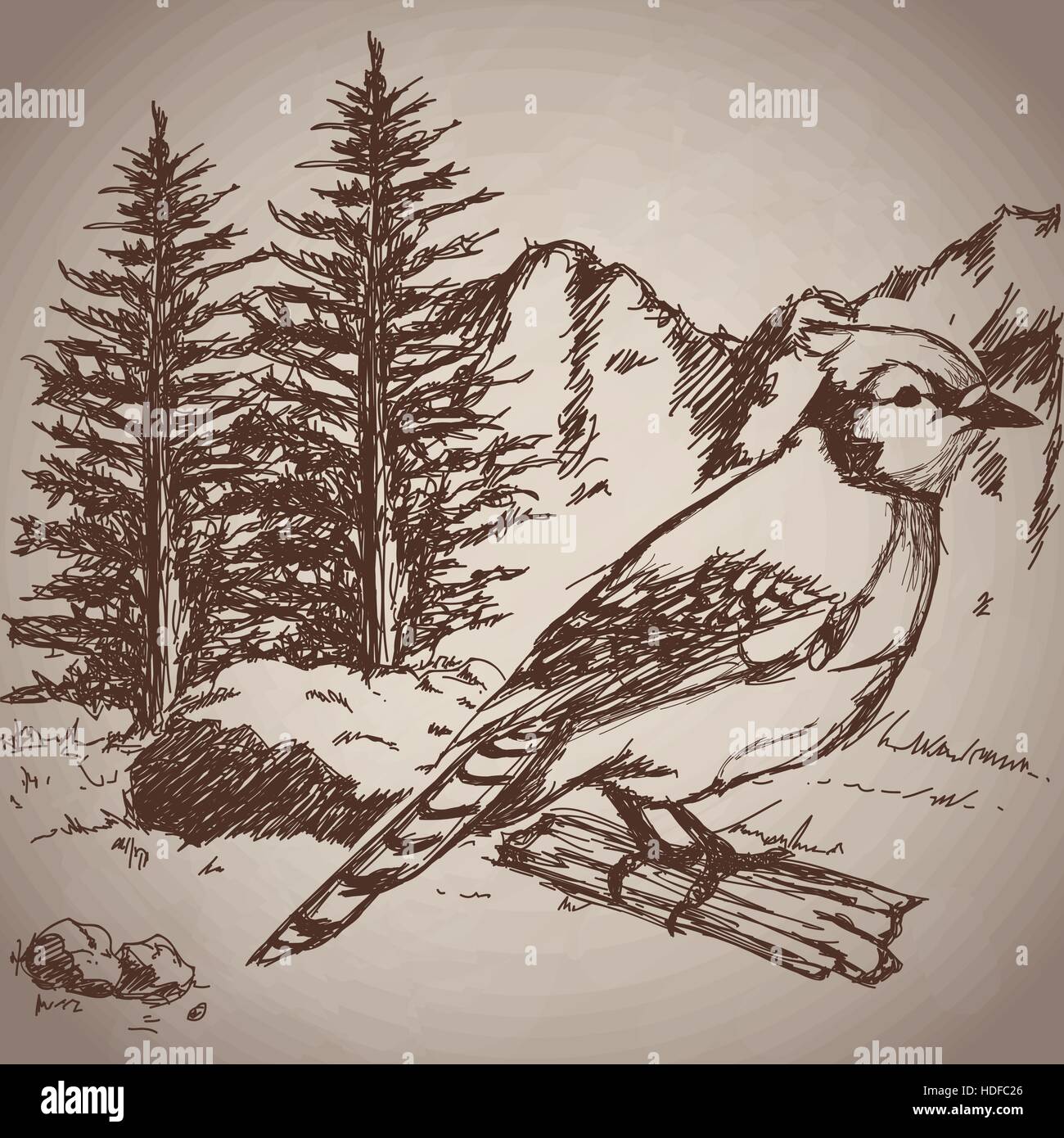 hand drawing bird landscape vintage Stock Vector Image & Art - Alamy