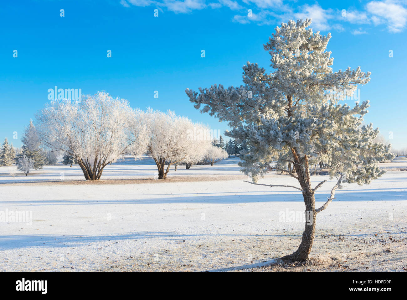 Freezing cold day hi-res stock photography and images - Alamy