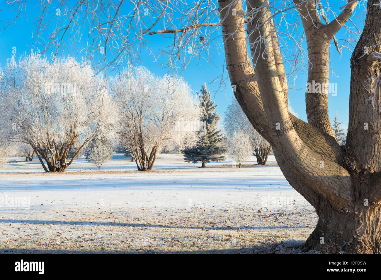 Freezing cold day hi-res stock photography and images - Alamy