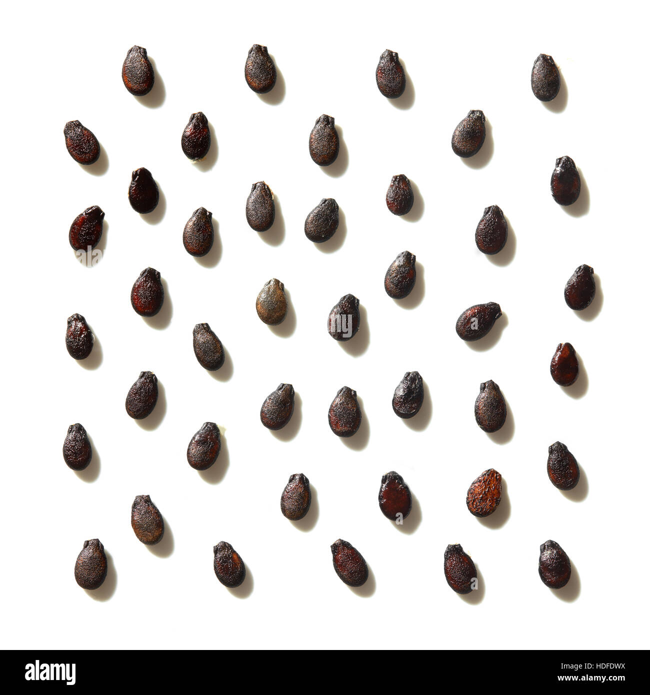 rain of seeds of watermelon isolated on white background Stock Photo ...