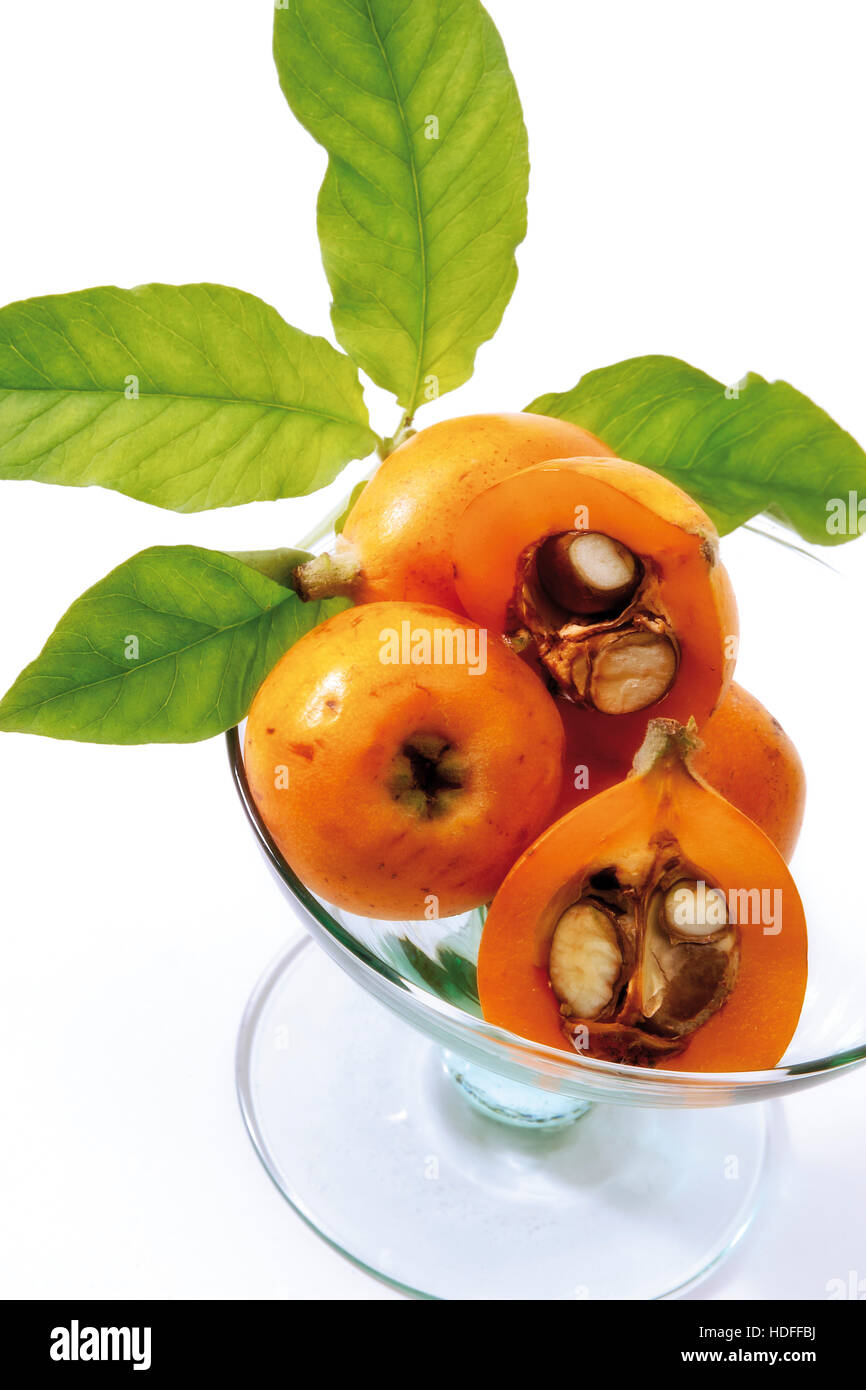 Common Medlar (Mespilus germanica Stock Photo - Alamy