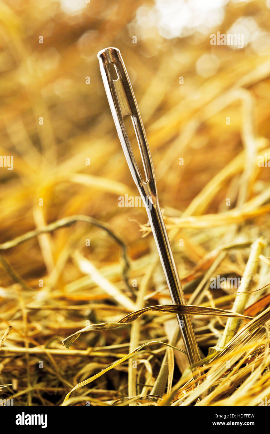 Needle in a stack of hay Stock Photo - Alamy