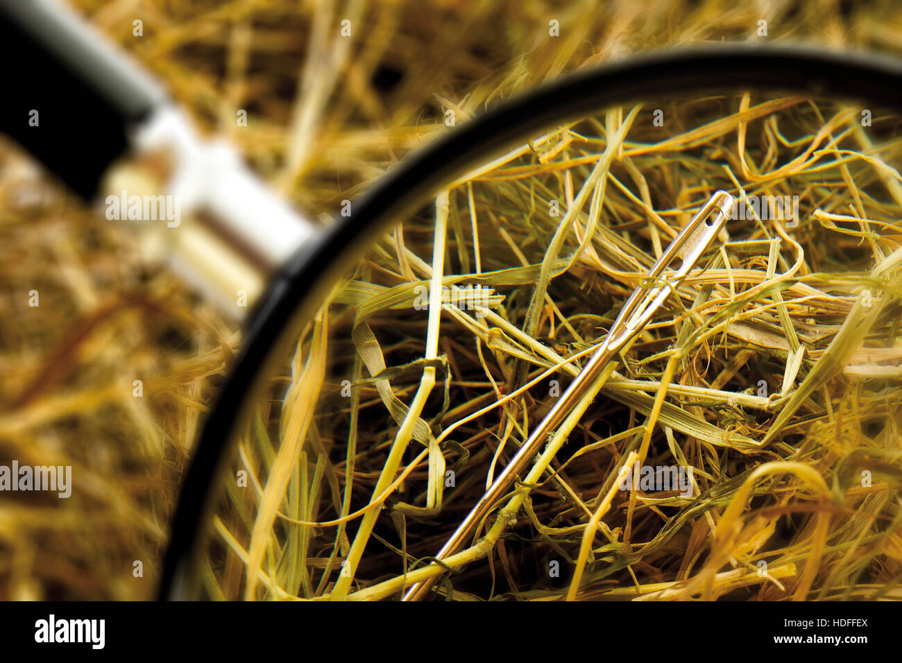 Needle in a stack of hay, loupe Stock Photo - Alamy