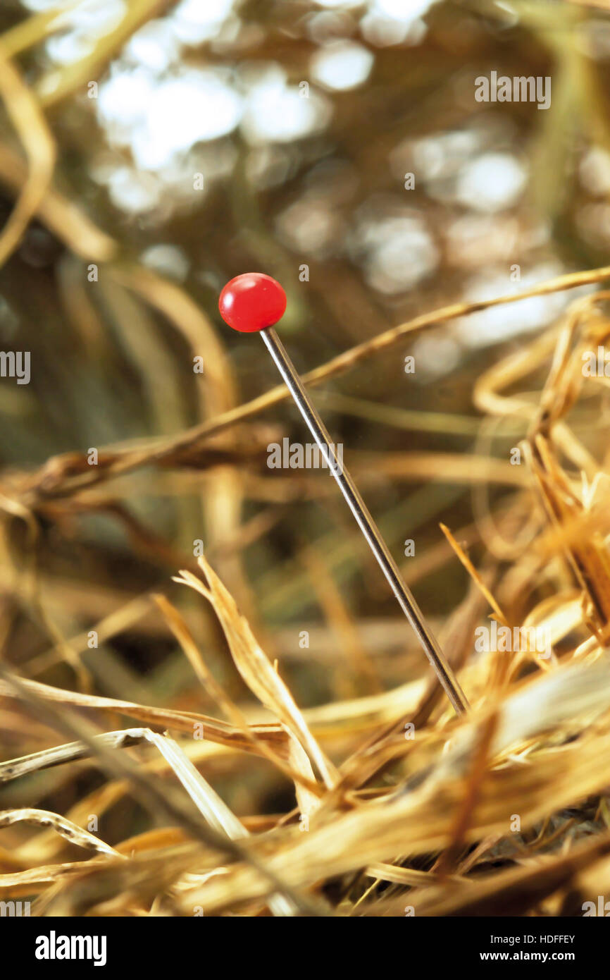 Needle in a stack of hay Stock Photo - Alamy