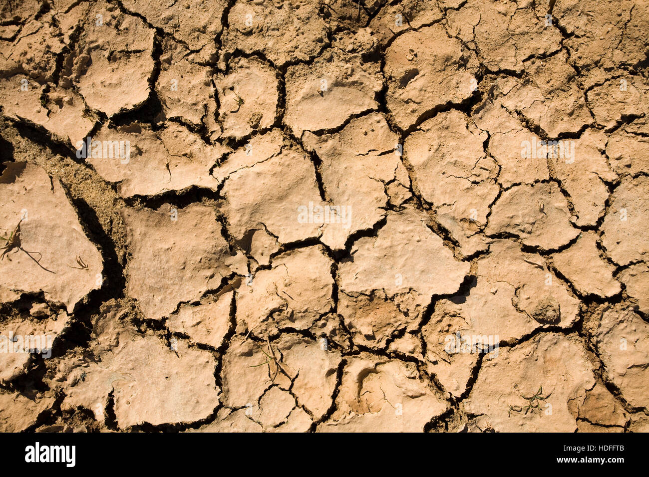 Desiccated soil, Algarve, Portugal, Europe Stock Photo - Alamy