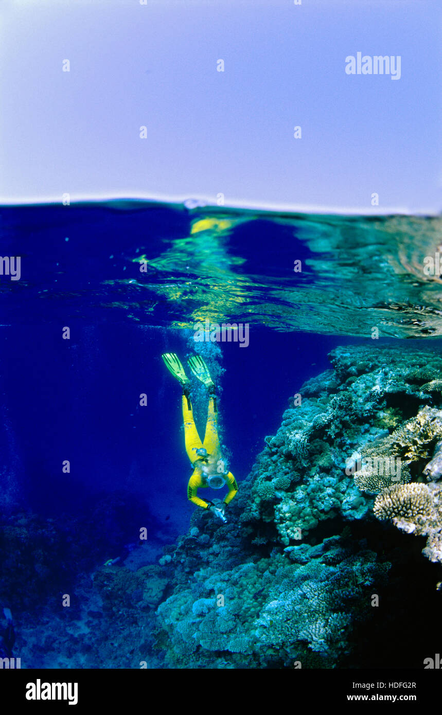 Scuba diving in egypt hi-res stock photography and images - Alamy