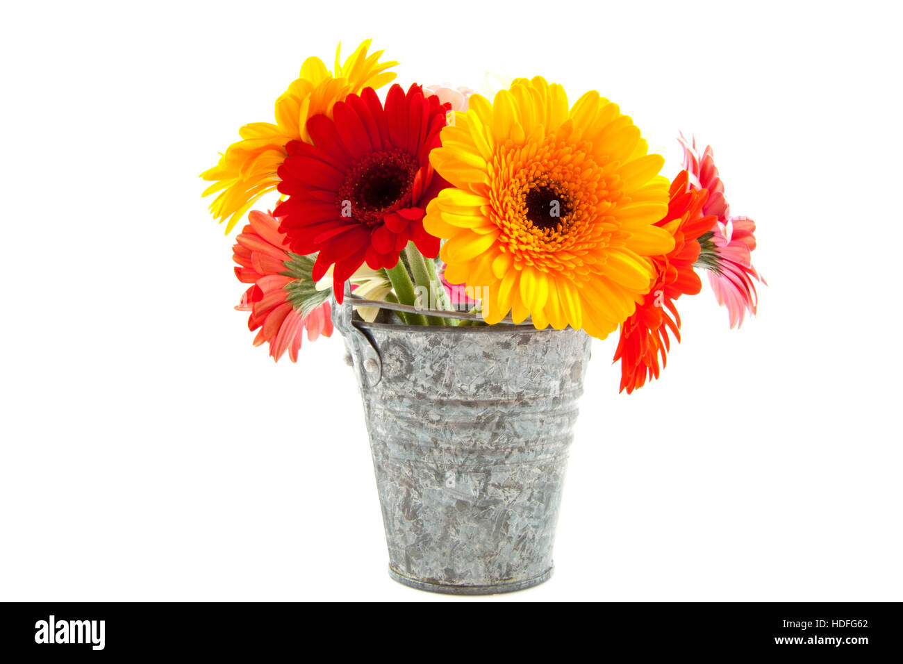 Bucket knot hi-res stock photography and images - Alamy