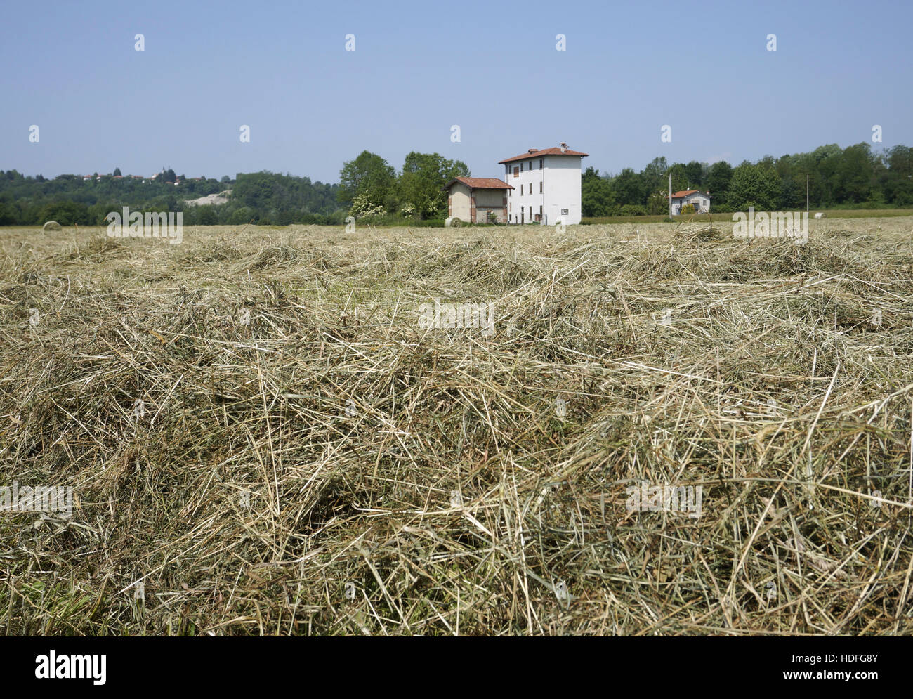 Cut hay field hi-res stock photography and images - Alamy