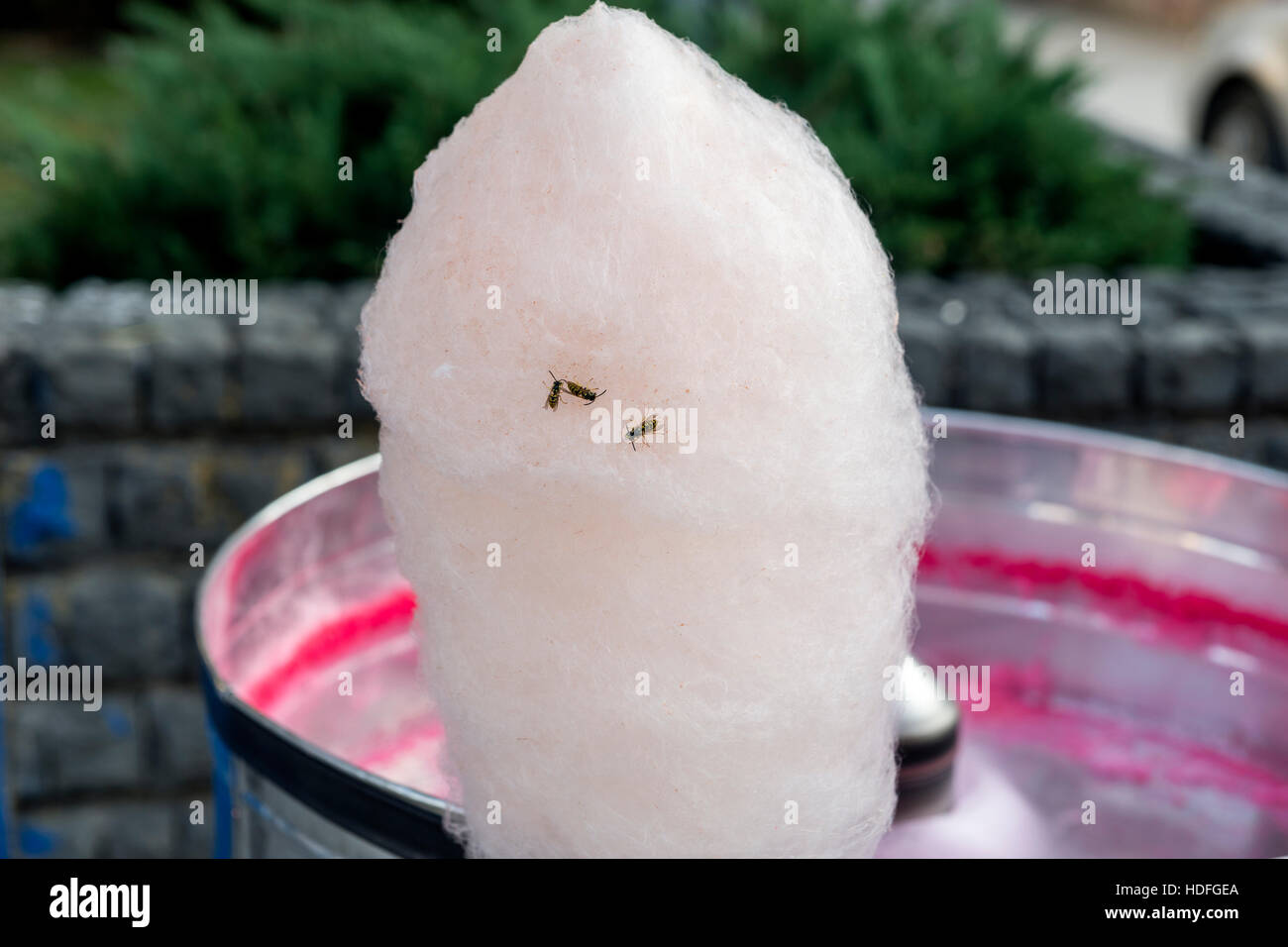 Candy floss child hi-res stock photography and images - Alamy