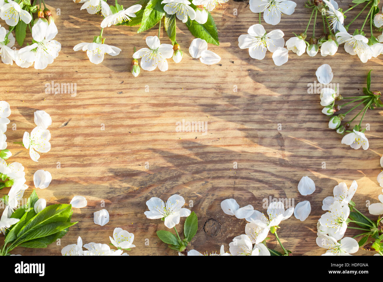 Cherry frame hi-res stock photography and images - Alamy