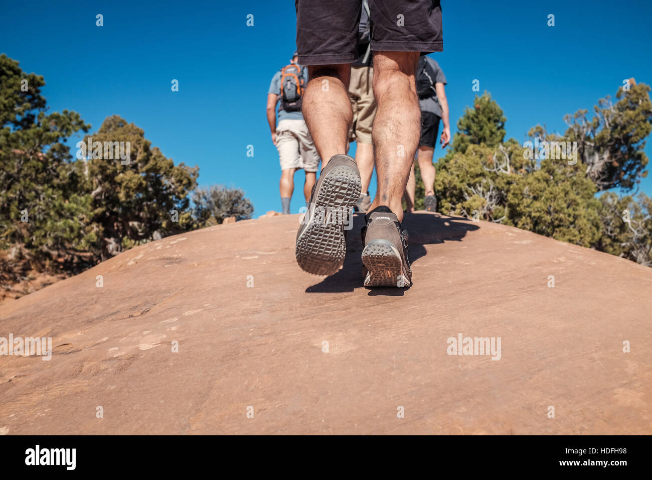 Group of men hiking Stock Photo - Alamy