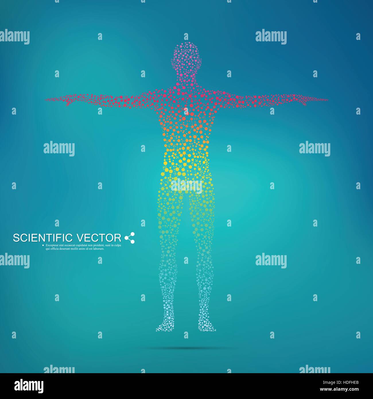 Structure molecule of man. Abstract model human body DNA . Medicine ...