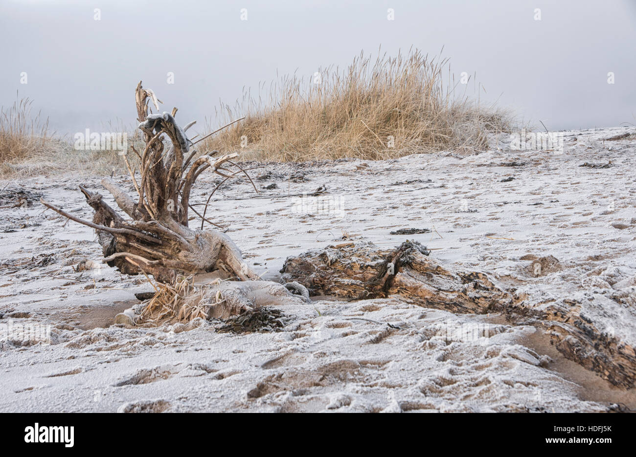 Frozen beach hi-res stock photography and images - Alamy