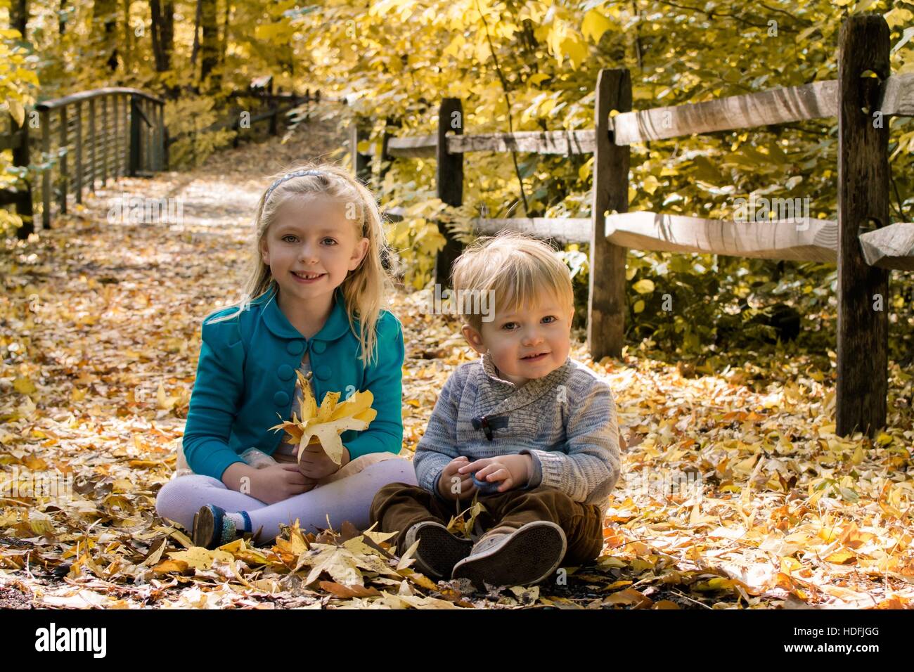 brother and sister siblings sitting on autumn leaves in park Stock ...